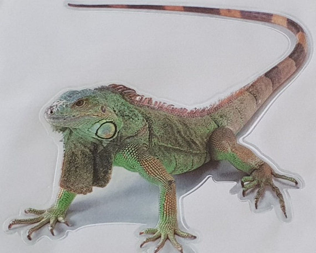 Cool 3D Car Styling Funny Chameleon Car Sticker Waterproof Decals. - Etsy