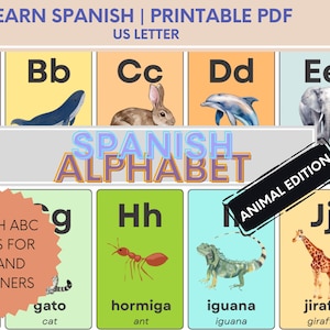 Spanish Animal Alphabet Flashcards - Etsy UK