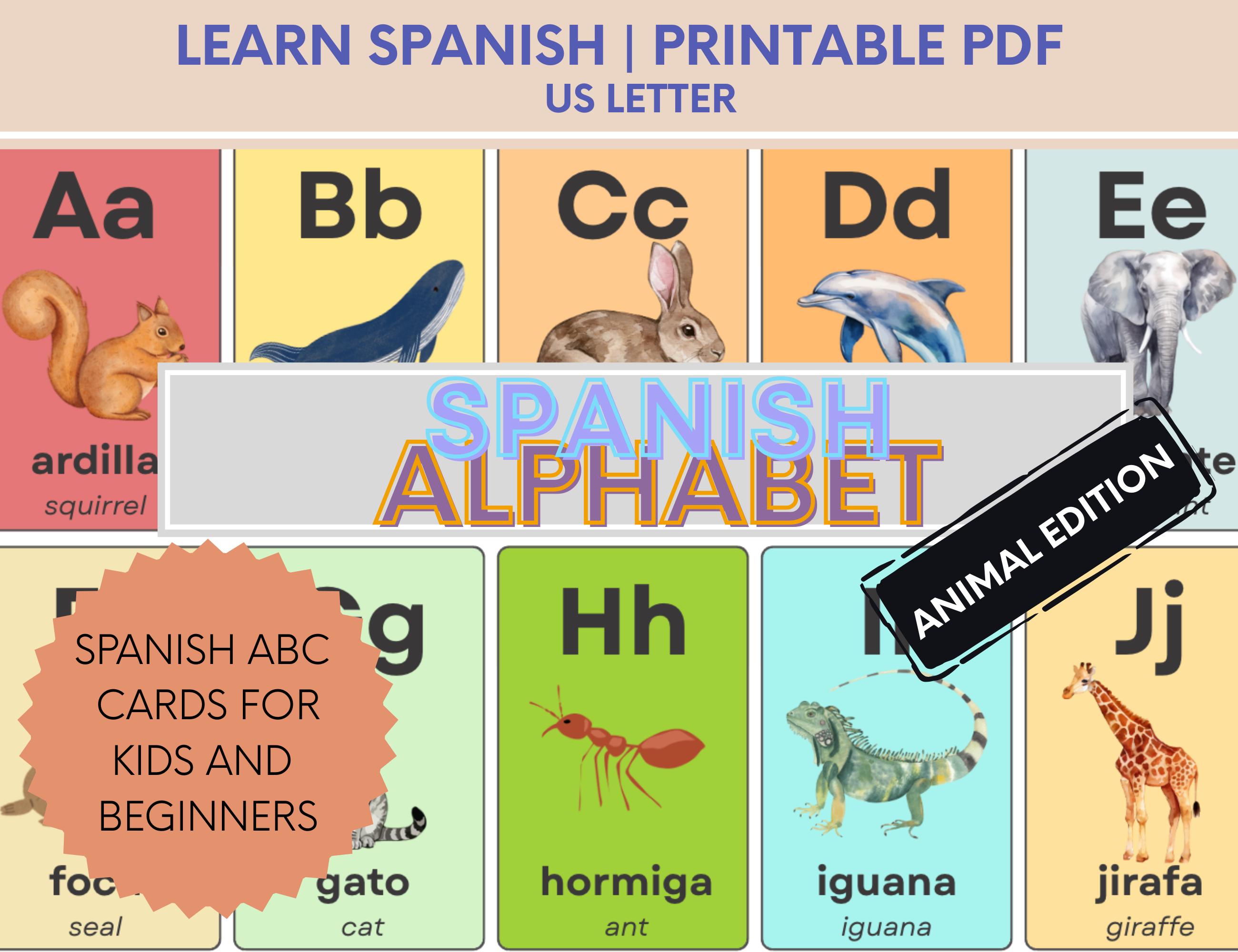 Spanish Animal Alphabet Flashcards - Etsy UK