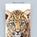 Printable Wild Animal Bookmarks Bundle, Jungle Book Page Tracker ...