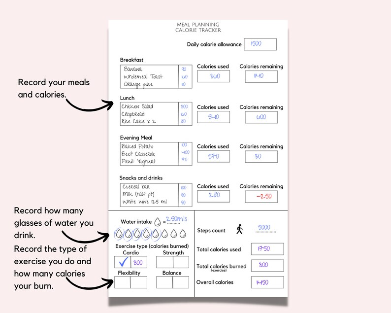 Daily Printable Calorie and Exercise Tracker Planner Insert | Etsy