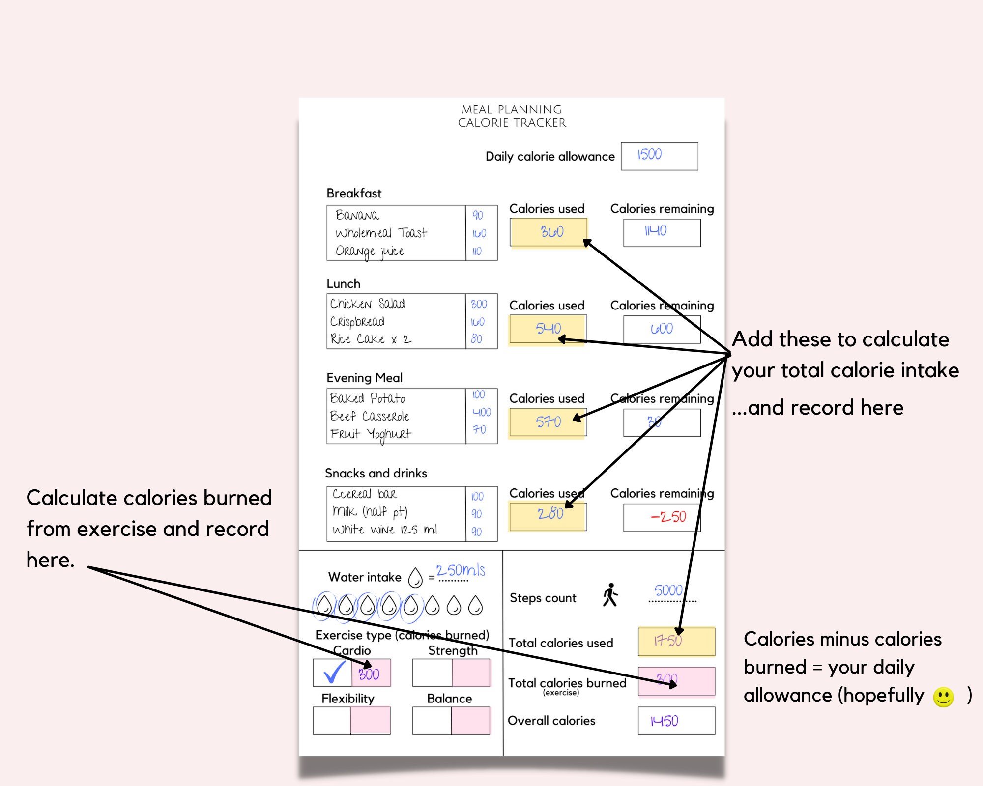 Daily Printable Calorie and Exercise Tracker Planner Insert | Etsy