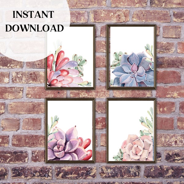 Succulent Wall Art - Etsy