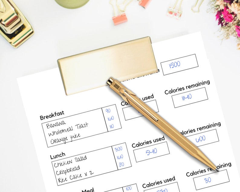 Daily Printable Calorie and Exercise Tracker Planner Insert | Etsy