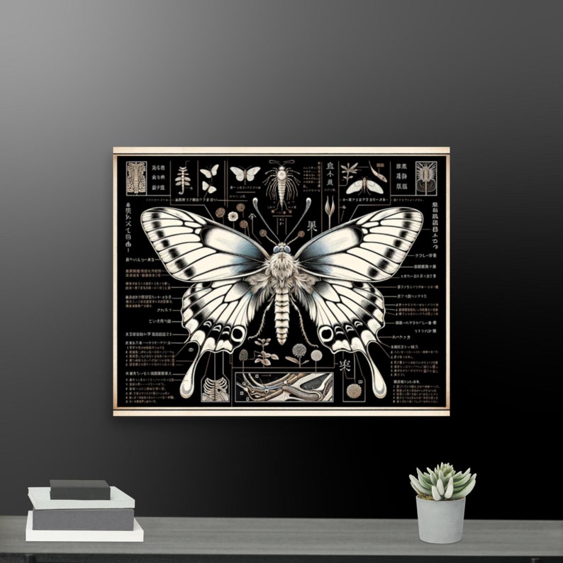Monochrome Moth Diagram Poster - Etsy