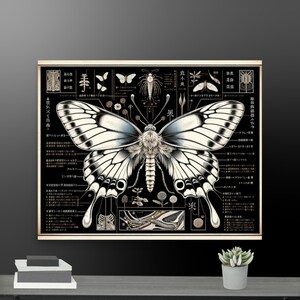 Monochrome Moth Diagram Poster - Etsy