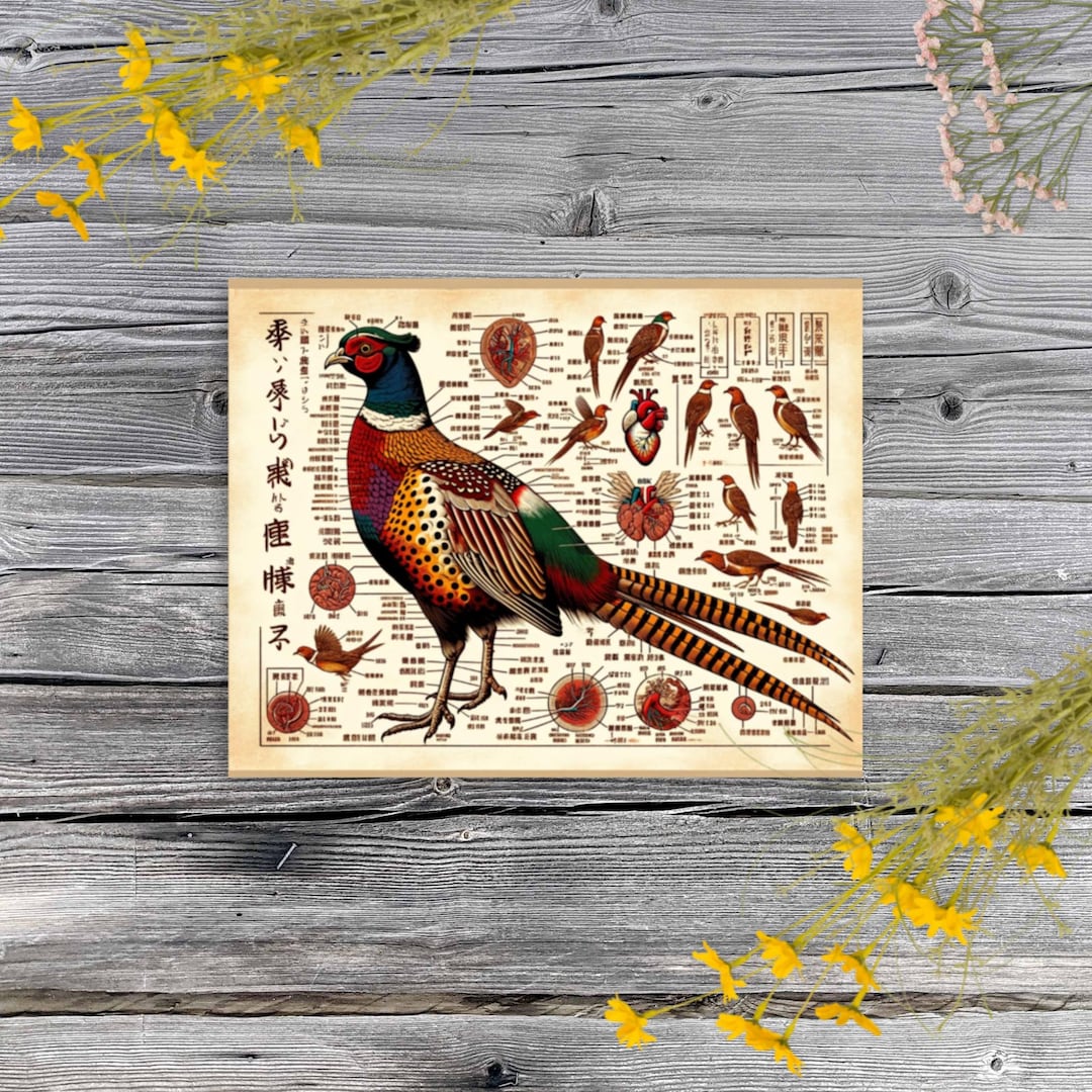 Japanese Style Pheasant Diagram Poster - Etsy