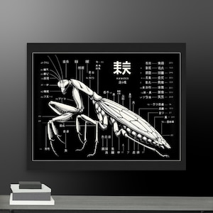 BW Japanese Praying Mantis Diagram Poster - Etsy