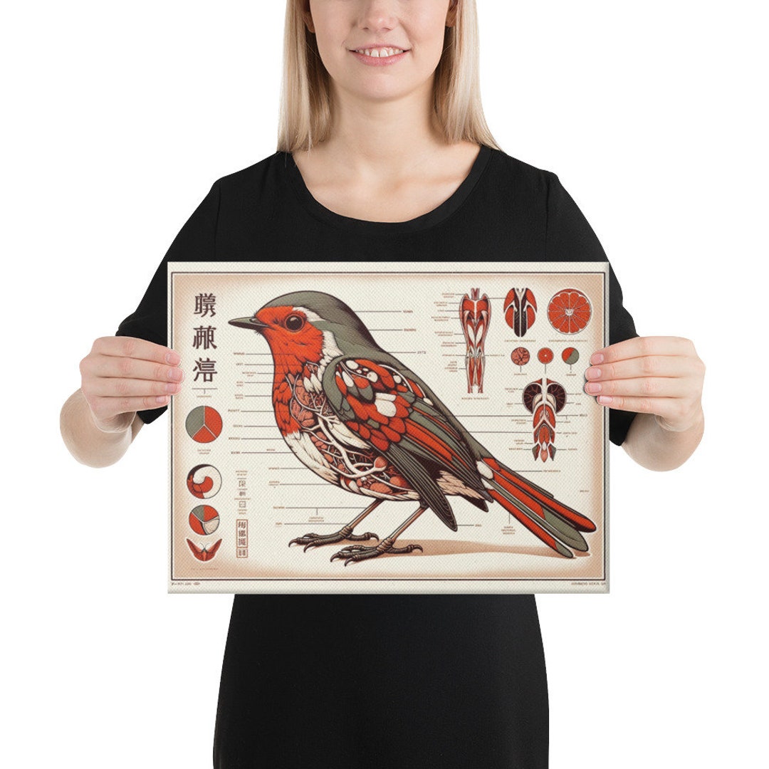 Japanese Style Robin Anatomy Diagram on Canvas - Etsy