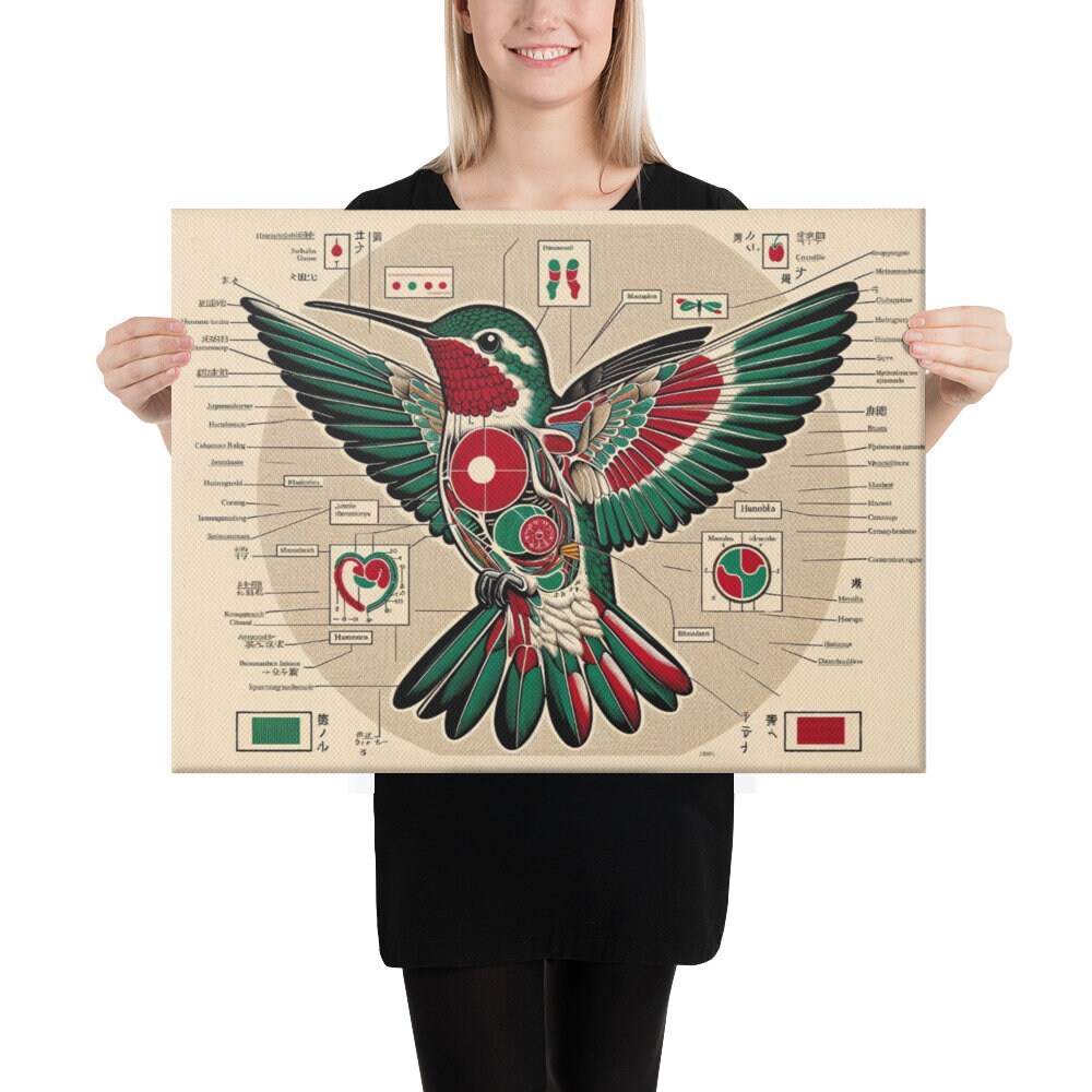 Japanese Hummingbird Anatomy on Canvas - Etsy