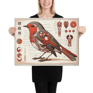 Japanese Style Robin Anatomy Diagram on Canvas - Etsy