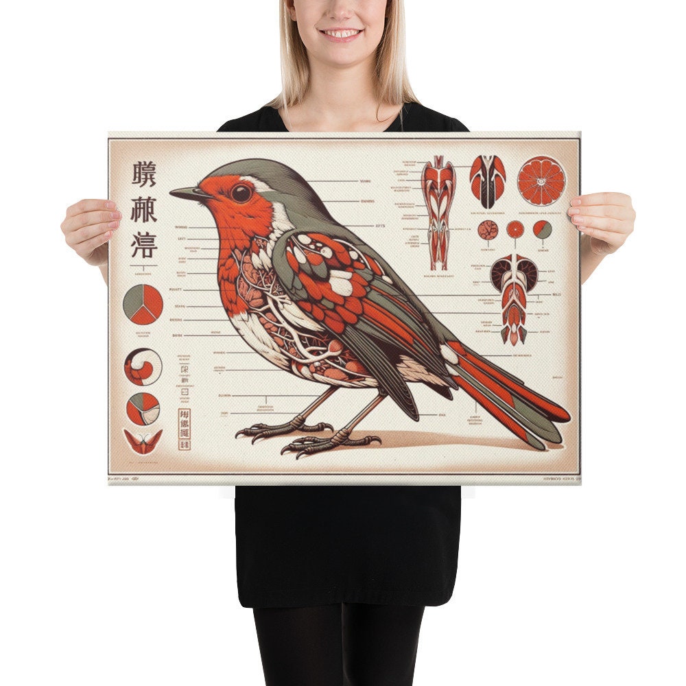 Japanese Style Robin Anatomy Diagram on Canvas - Etsy