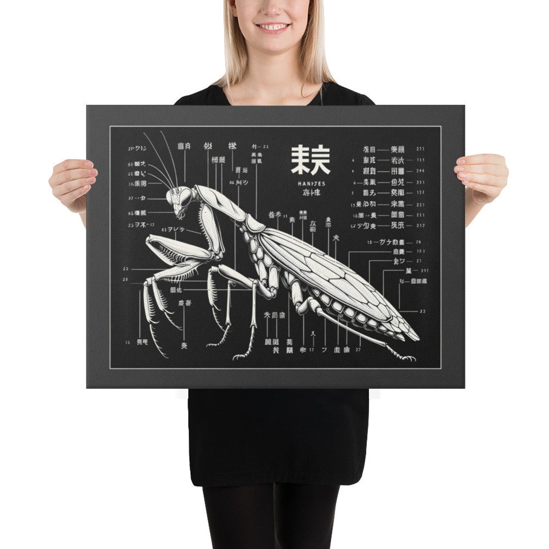 Praying Mantis Monochrome on Canvas - Etsy