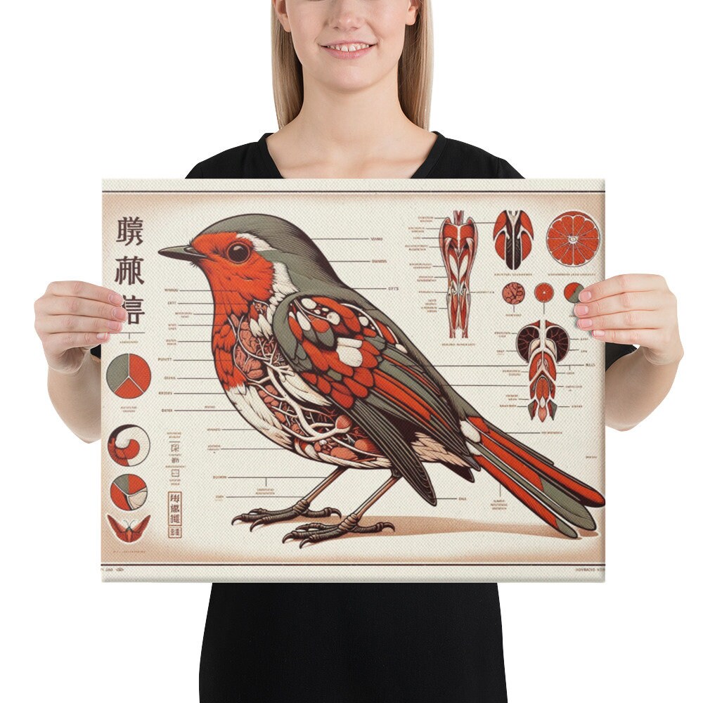 Japanese Style Robin Anatomy Diagram on Canvas - Etsy