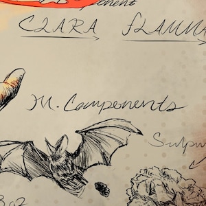 D&D Fireball Spell Print - Etsy