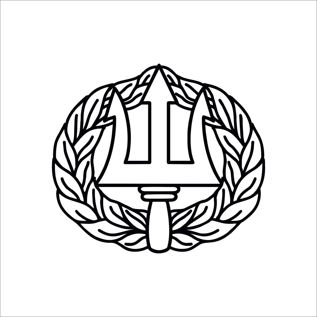 Command Ashore Insignia - Etsy