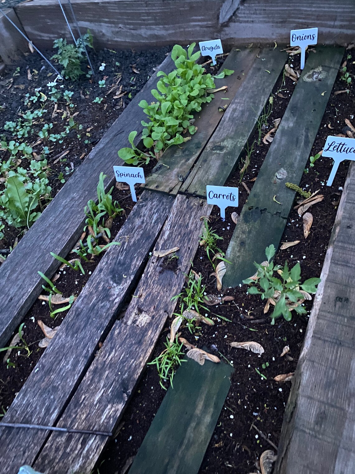 Wispy Customizable Garden Signs Labels for Plants Vegetables | Etsy