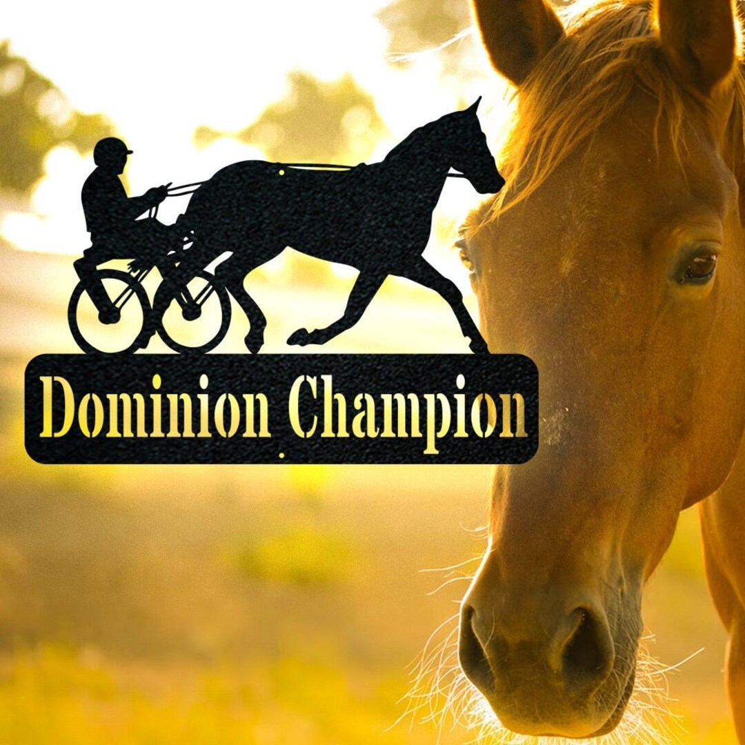 Harness Racing Metal Sign | Personalized Horse Sign | Made in America ...