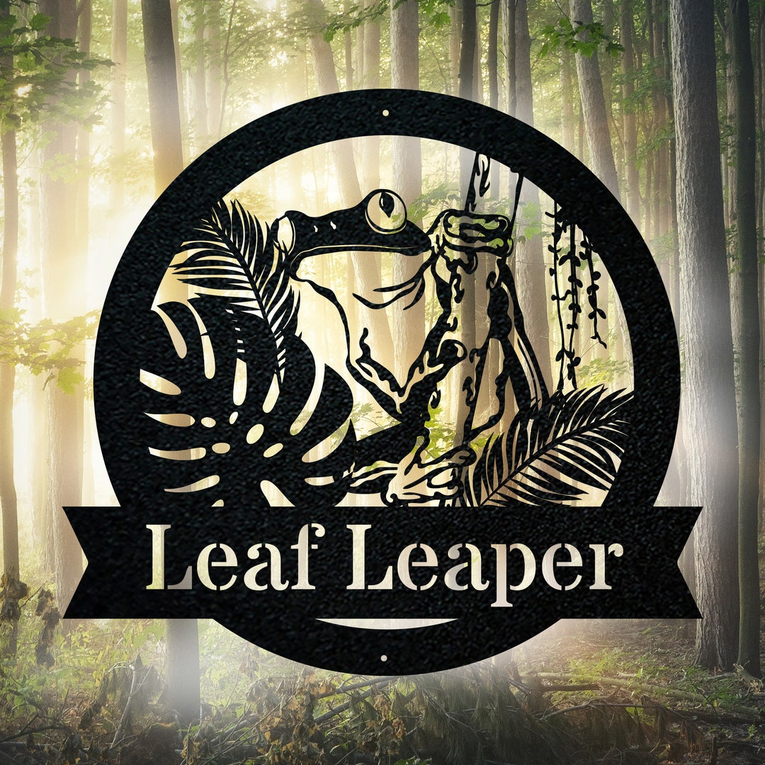 Rainforest Tree Frog - Personalized Metal Wall Art Sign - Etsy