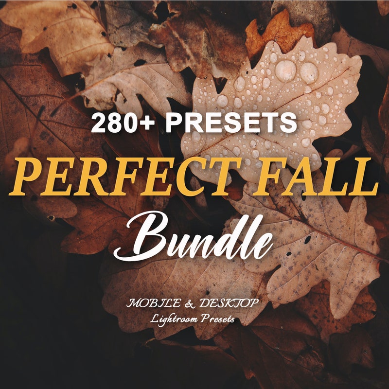 Fall Presets - Etsy