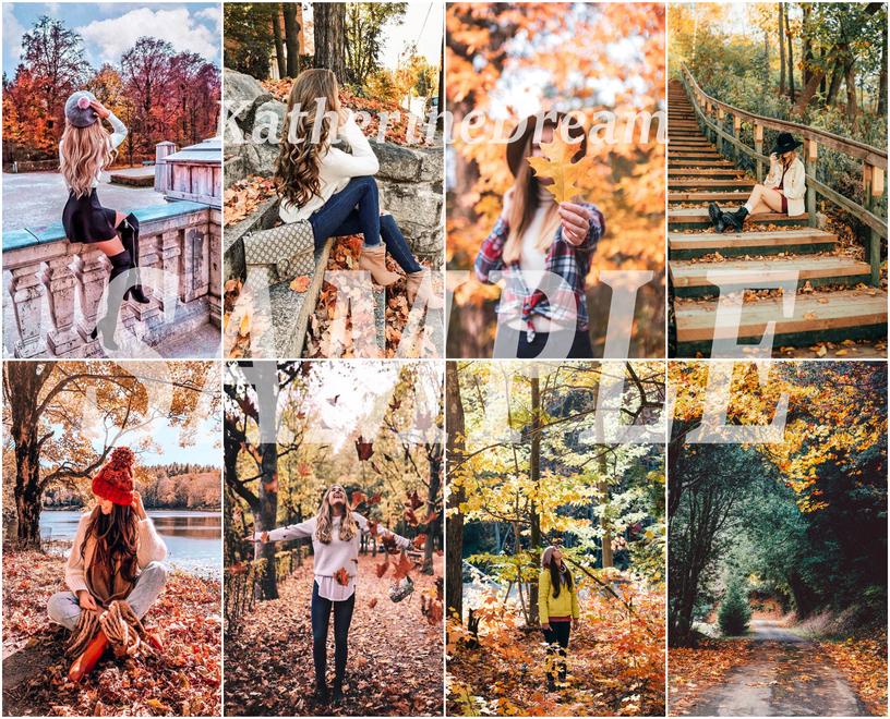 350+ Fall Photos, Stock Images Bundle, Autumn Photos , Marketing Stock ...