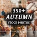 350+ Fall Photos, Stock Images Bundle, Autumn Photos , Marketing Stock ...