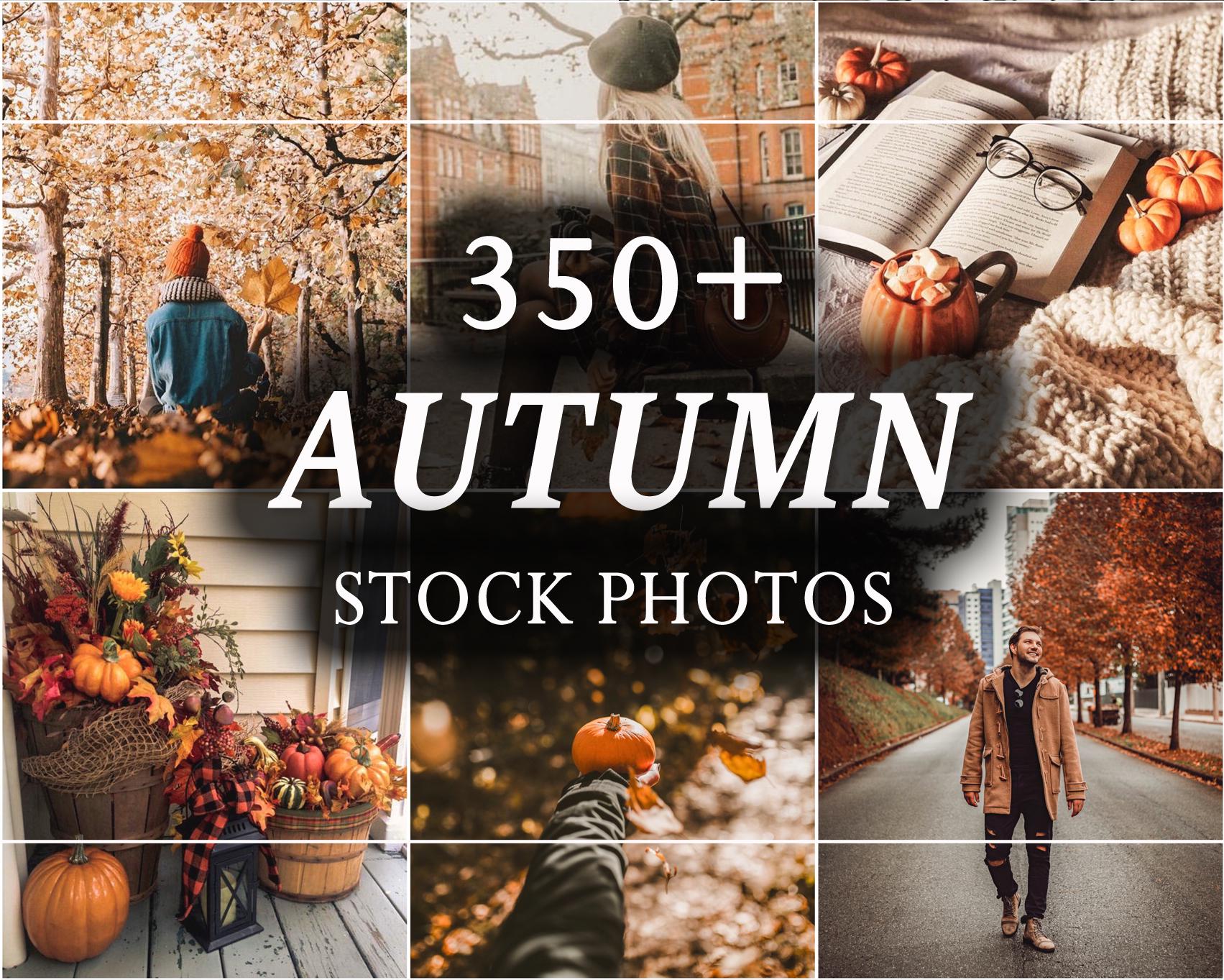 350+ Fall Photos, Stock Images Bundle, Autumn Photos , Marketing Stock ...