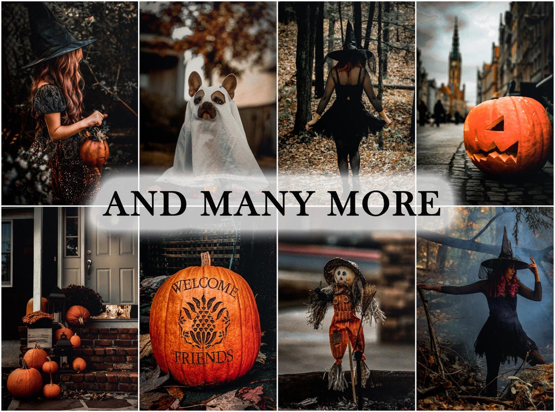 350+ Fall Photos, Stock Images Bundle, Autumn Photos , Marketing Stock ...