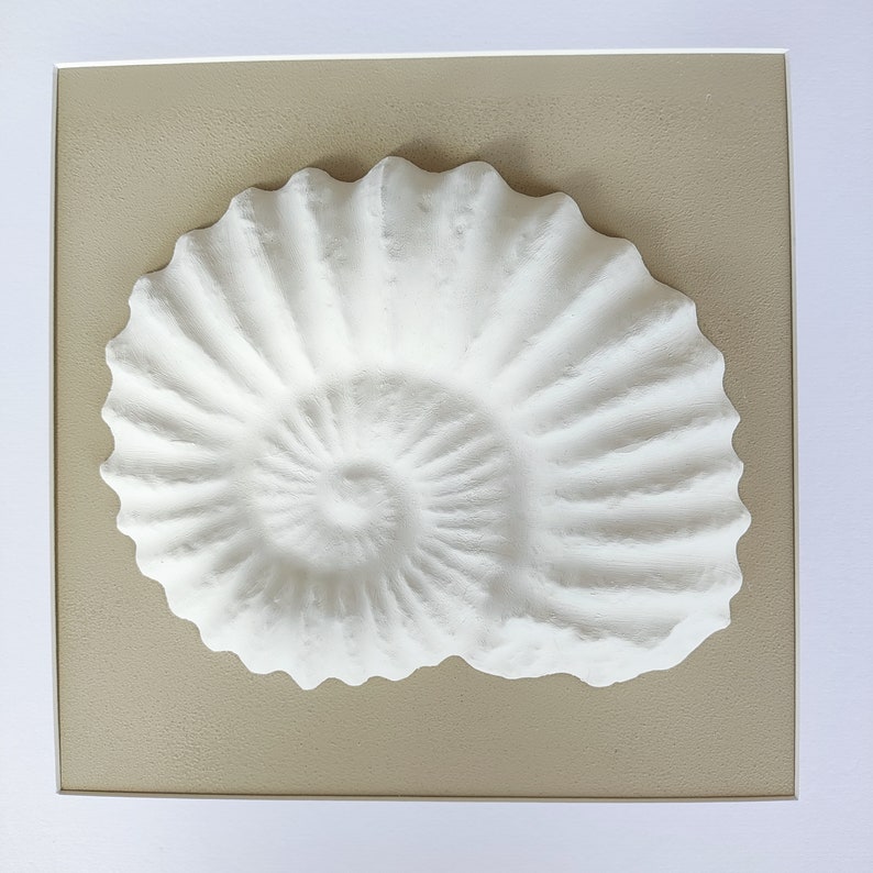 3d Ammonite Plaster Art, Relief Nautilus Painting, Sea Conch Decorative ...