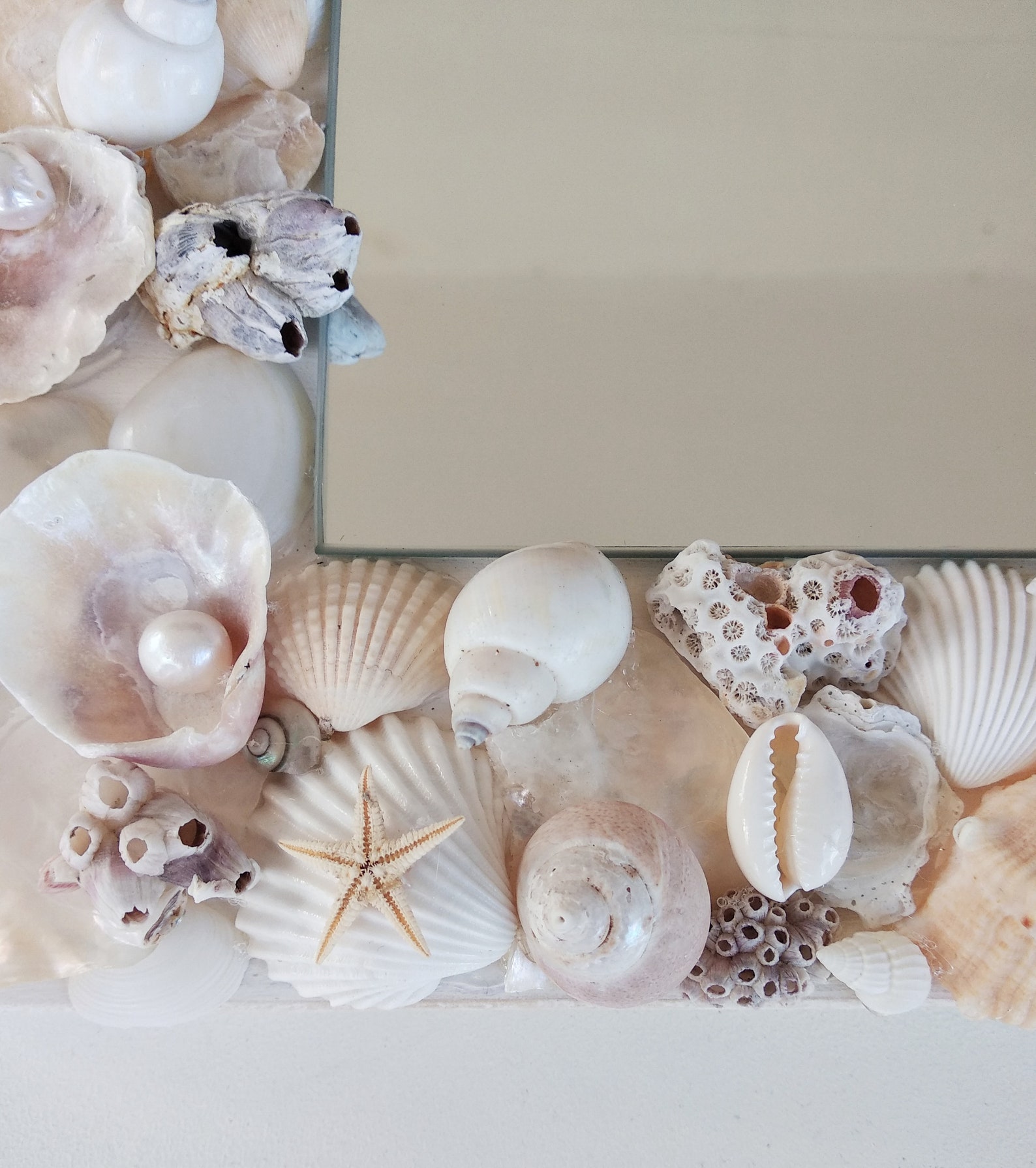 Natural Seashell Mirror White Coastal Mirror Sea Shell - Etsy