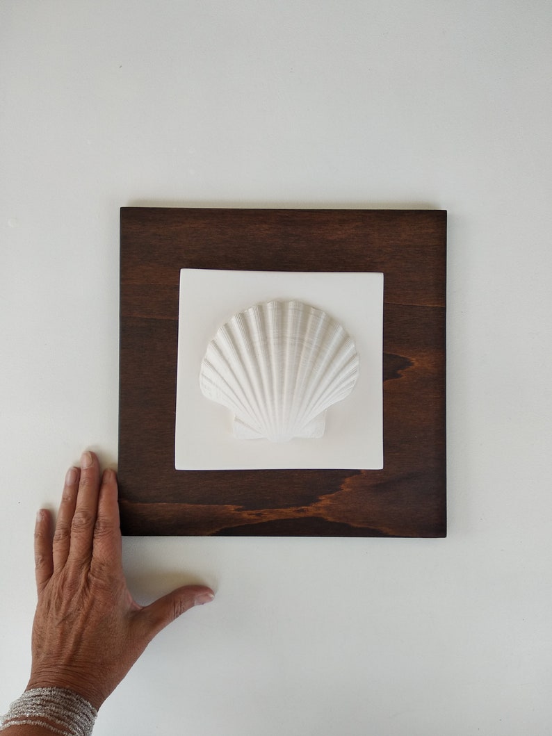 3d Plaster Wall Art Plaster Wall Sculpture Relief Sea Shell - Etsy