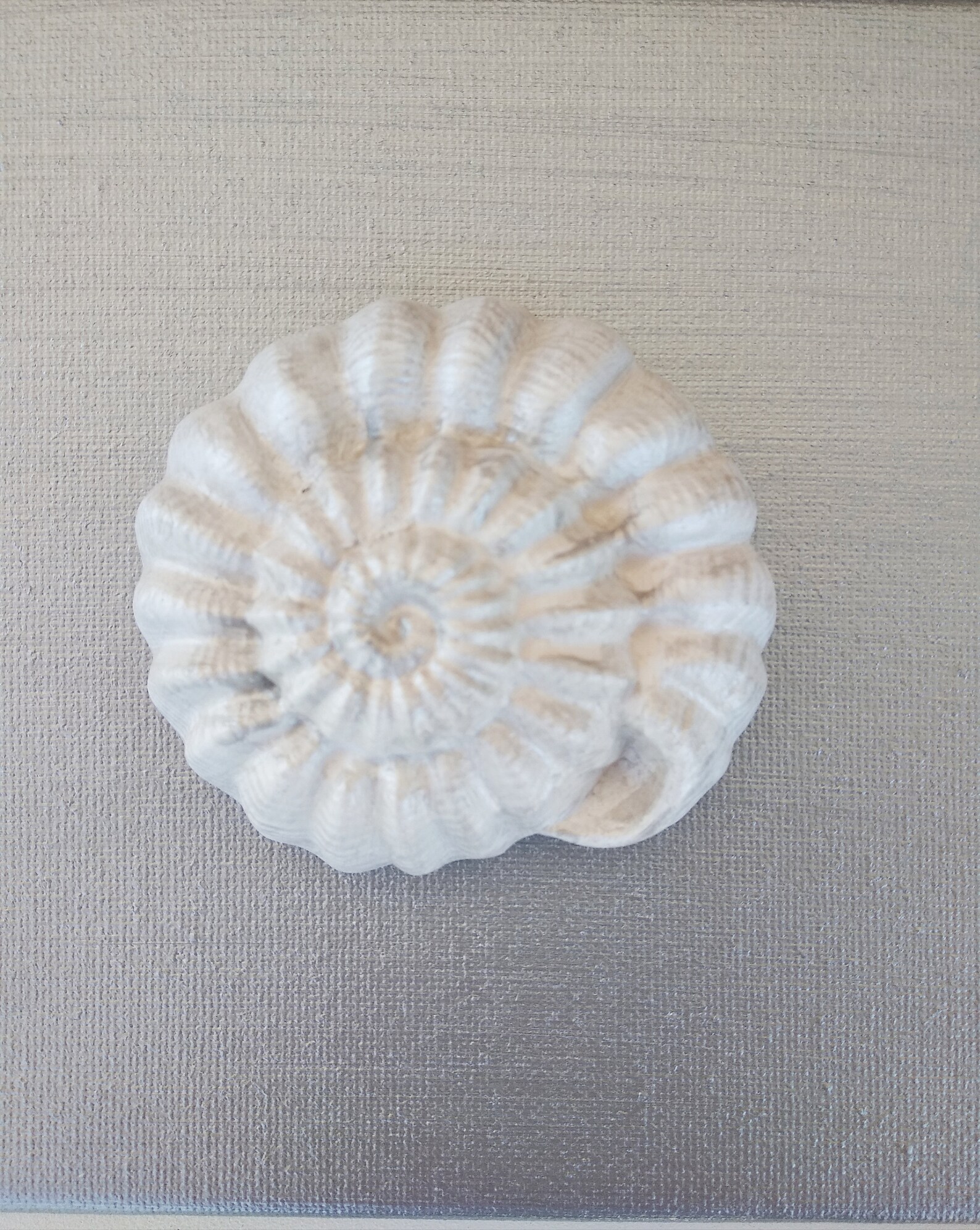 Small Shell Paintings on Canvas Original Plaster Wall Art - Etsy