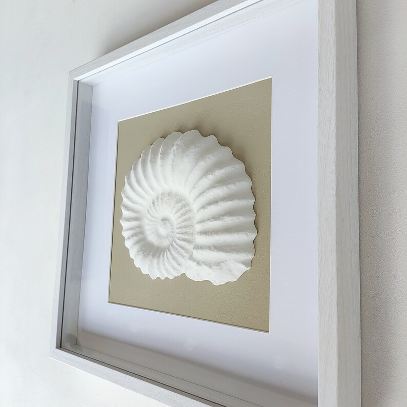 3d Ammonite Plaster Art, Relief Nautilus Painting, Sea Conch Decorative ...