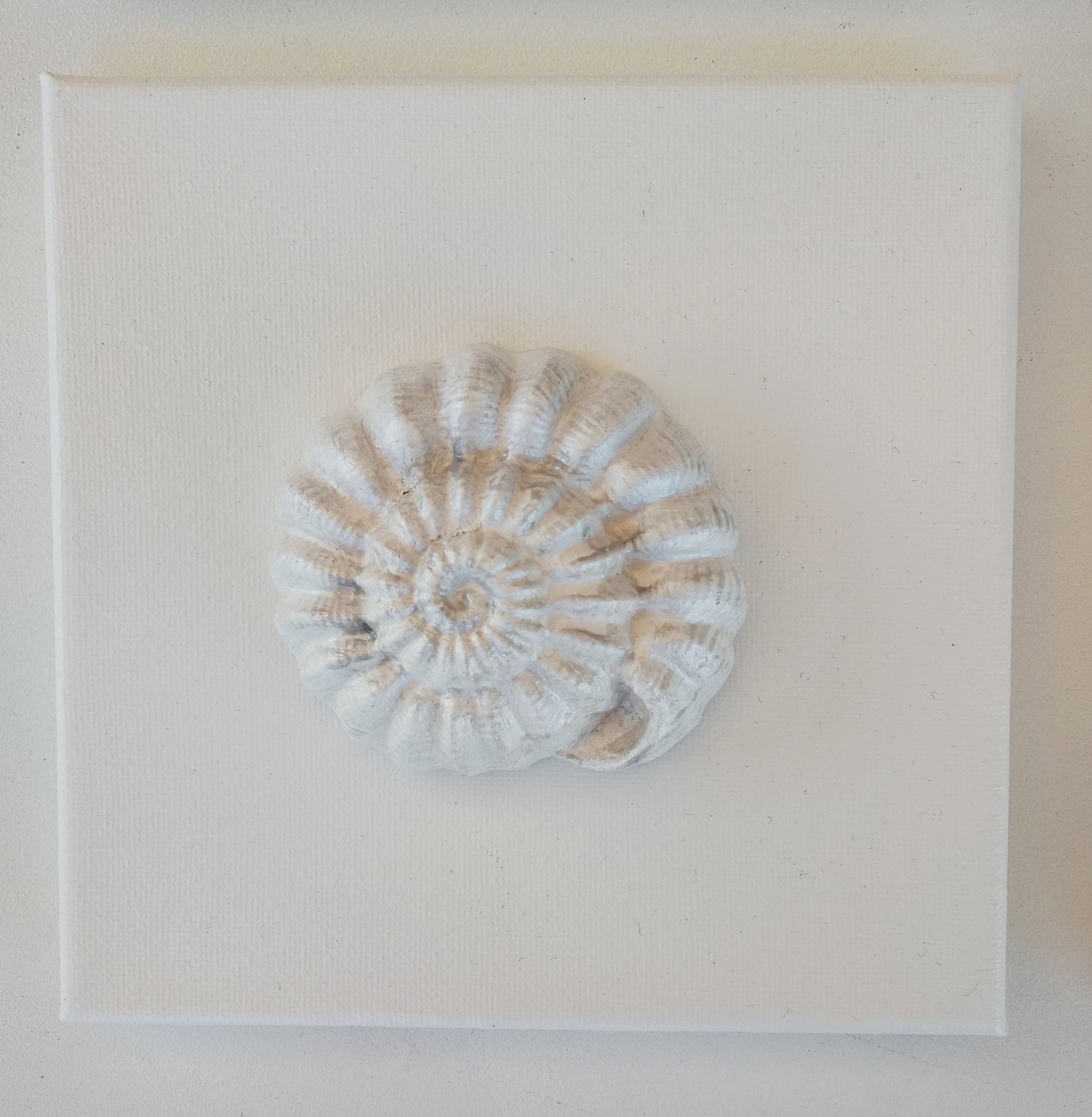 White Sea Shell Canvas Wall Art Set of 4 Coastal Seashells - Etsy