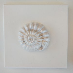 White Sea Shell Canvas Wall Art Set of 4 Coastal Seashells - Etsy