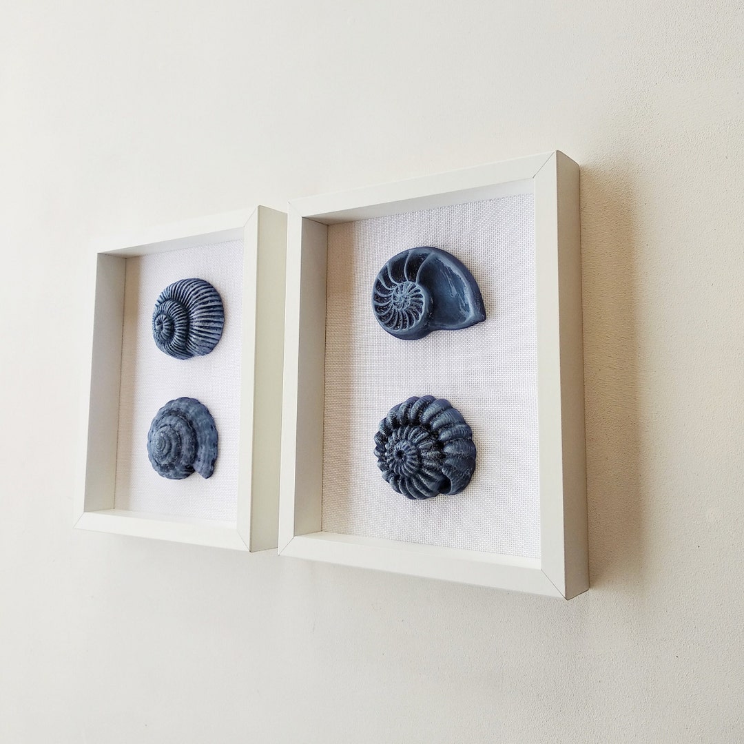 3d Seashell Beach Wall Art, Plaster Ammonite Sculpture, Set of 2 Framed ...