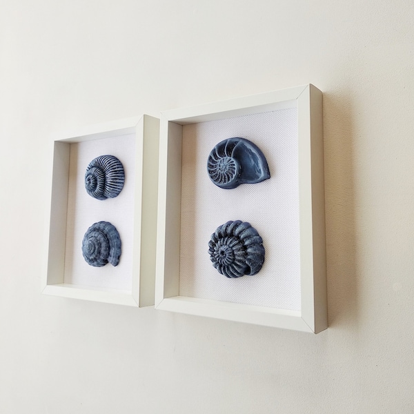 Navy Seashell Art - Etsy