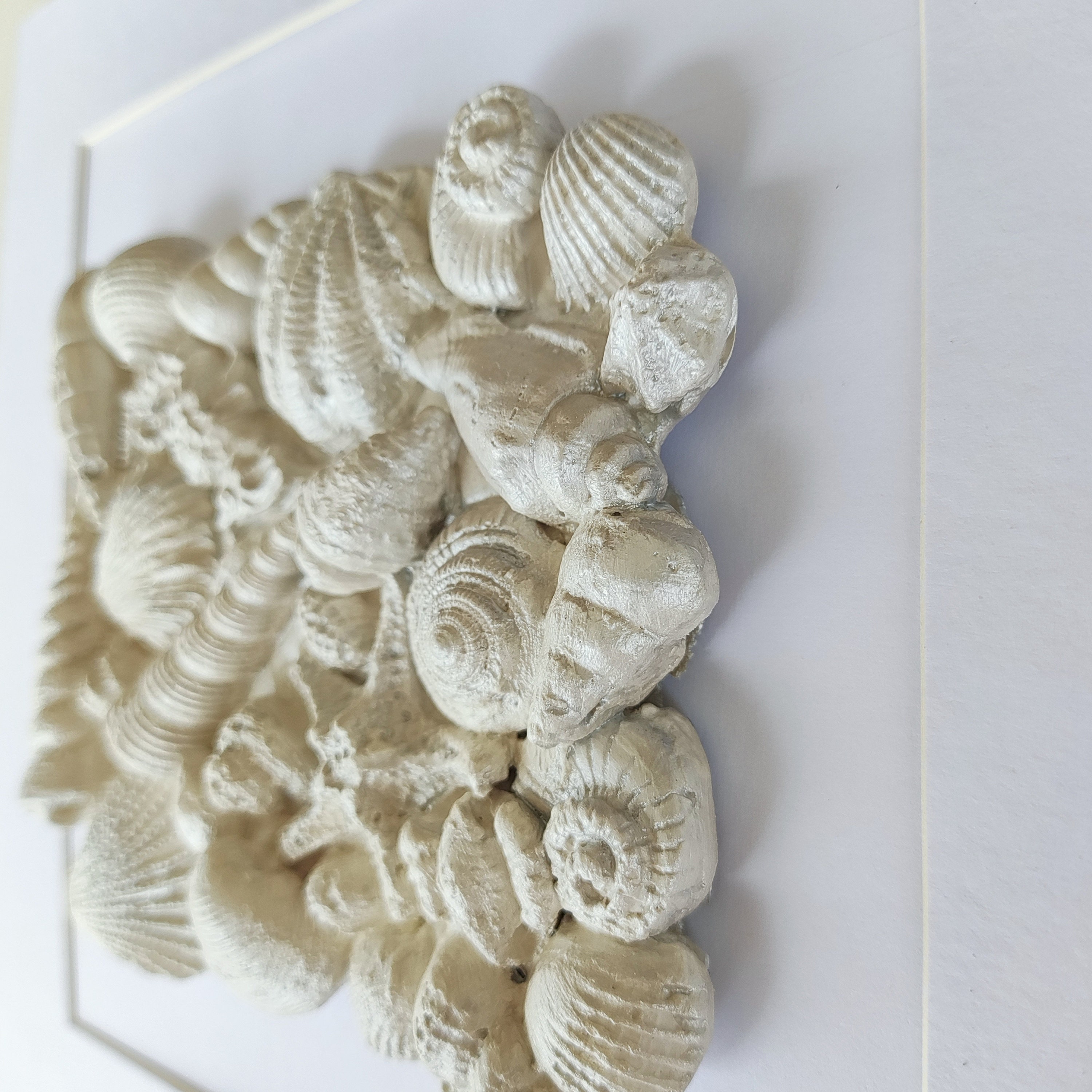 White Seashell Group Wall Sculpture, Embossed Sea Shell Coastal ...