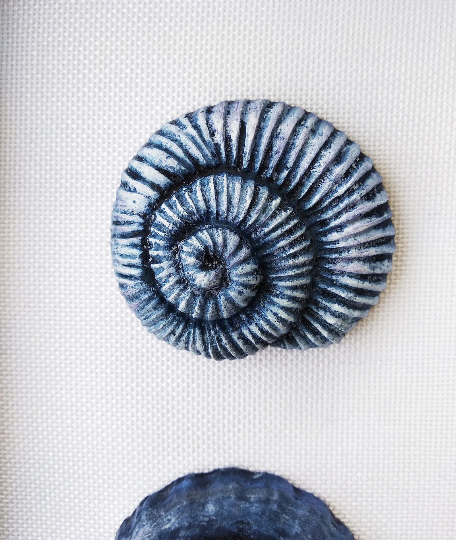 3d Seashell Beach Wall Art Plaster Ammonite Sculpture Set of - Etsy