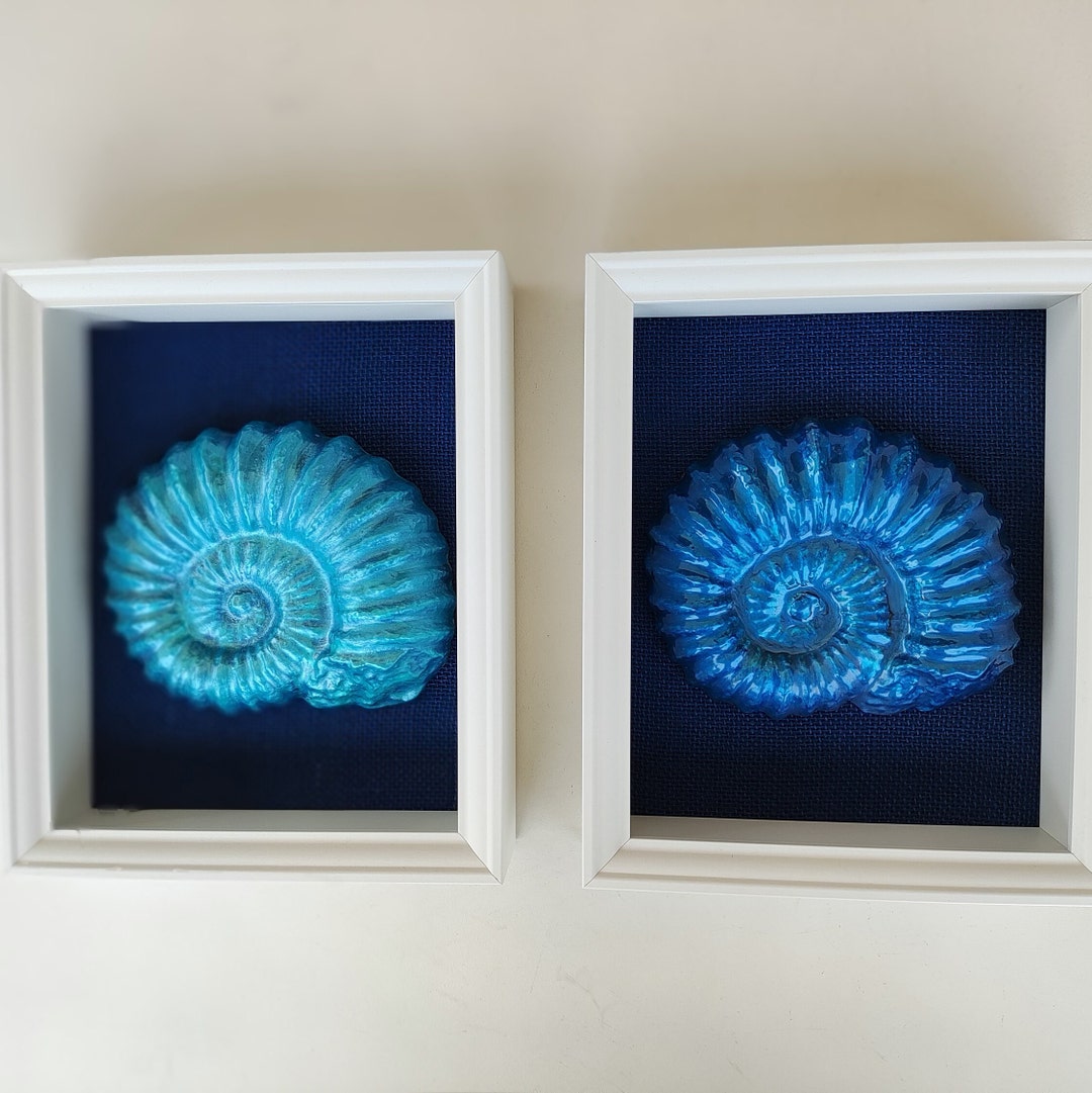 Seashells 3d Beach Wall Art, Plaster Ammonites Sculpture, Set of 2 ...