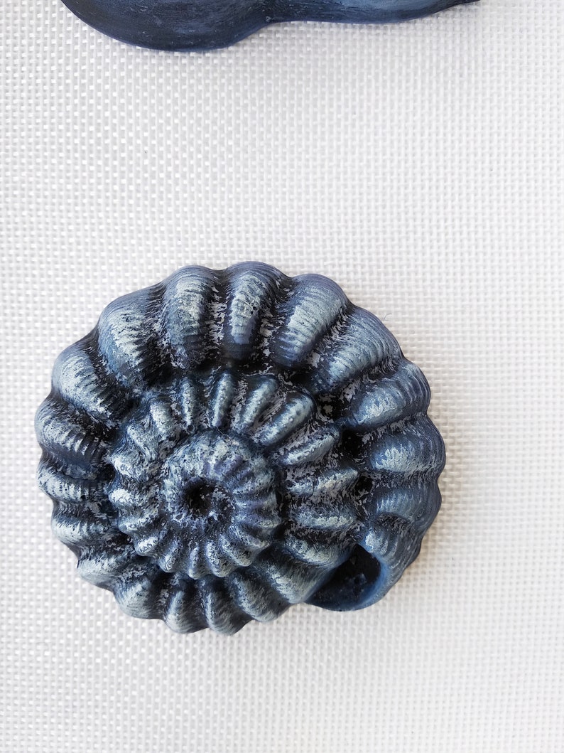 3d Seashell Beach Wall Art Plaster Ammonite Sculpture Set of - Etsy