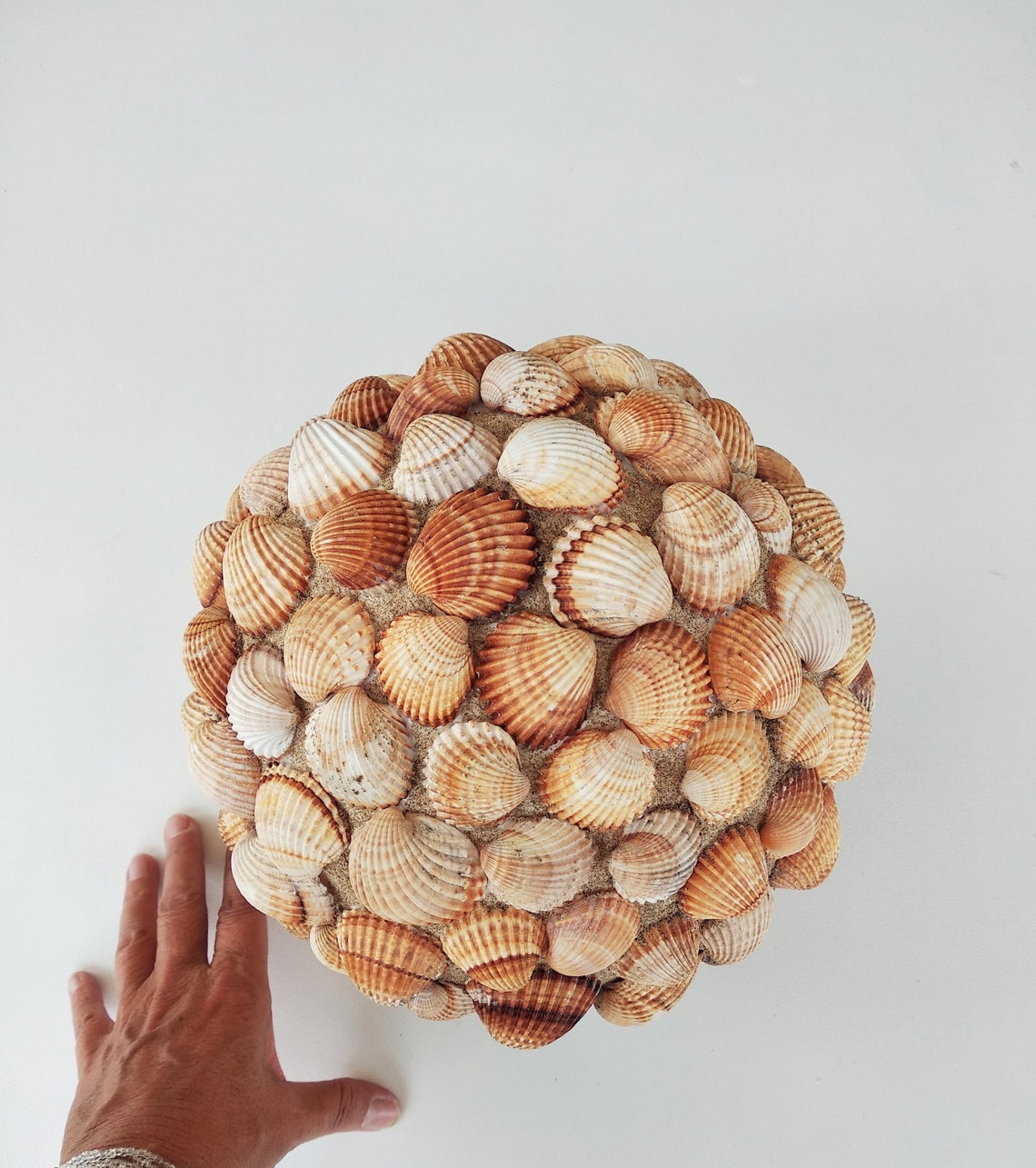 Large Sea Shell Ball Nautical Seashell Sphere Coastal Home - Etsy