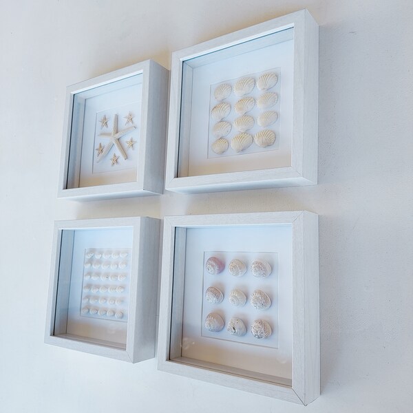 Framed Shell Art - Etsy