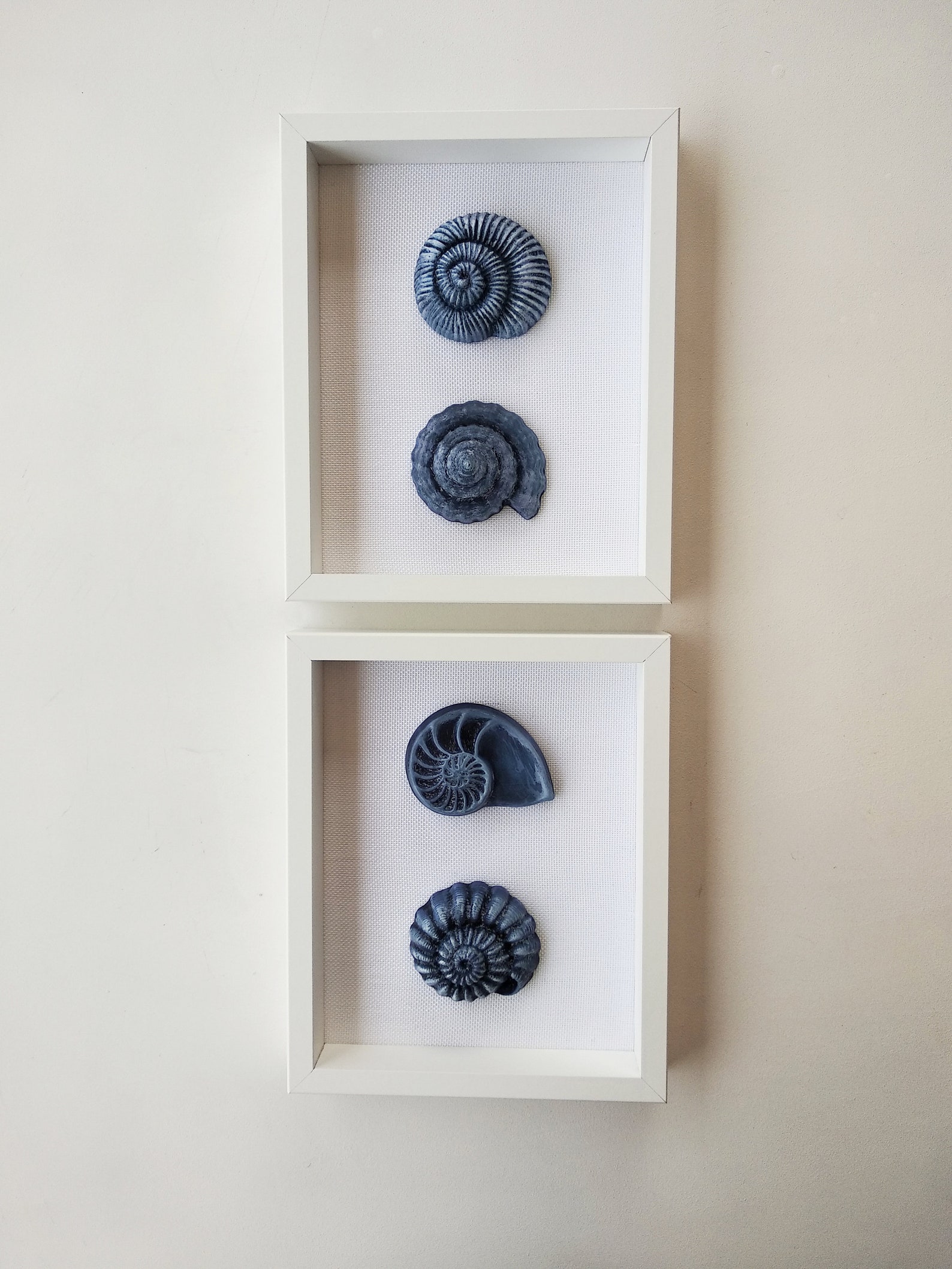 3d seashell beach wall art plaster ammonite sculpture set of | Etsy
