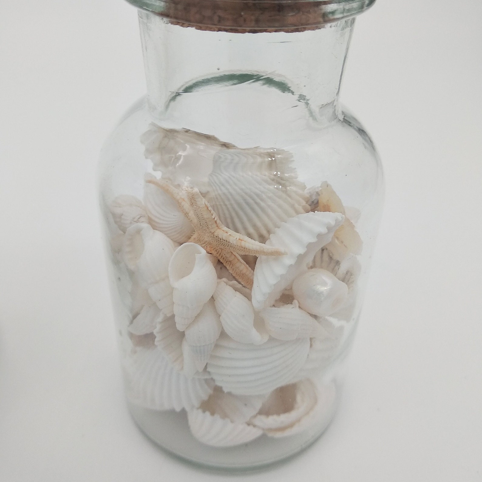 Beach Bottles Set of 3, Glass Bottles Filled With Sand Shells and Sea ...
