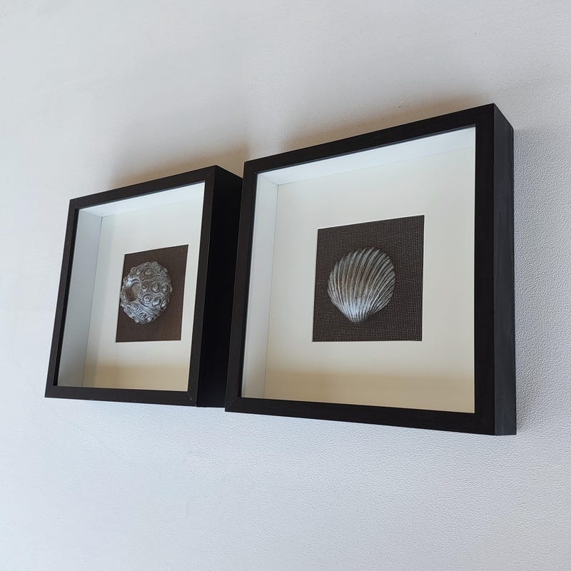 Framed Shell Art - Etsy