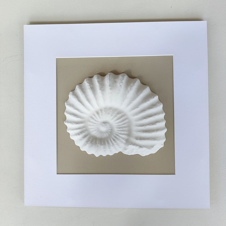 3d Ammonite Plaster Art, Relief Nautilus Painting, Sea Conch Decorative ...