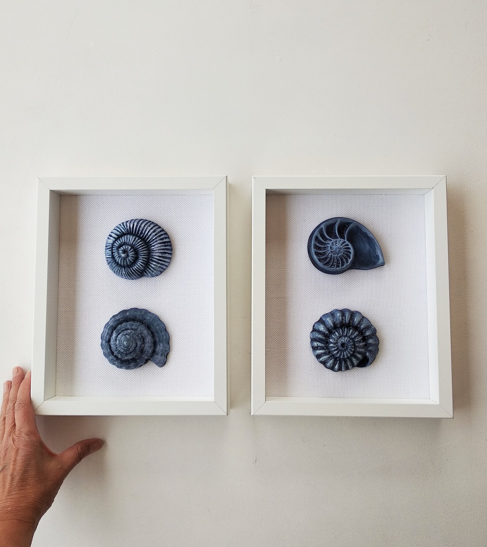 3d seashell beach wall art plaster ammonite sculpture set of | Etsy