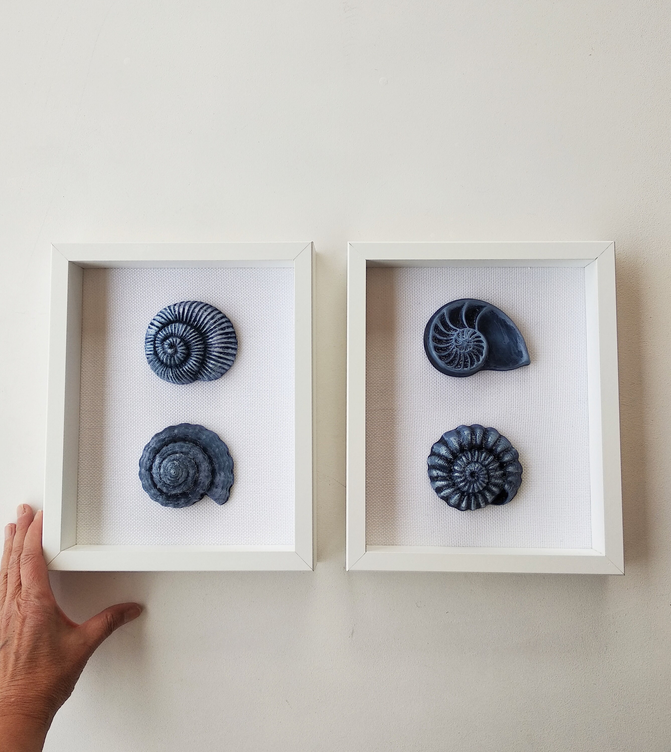 3d seashell beach wall art plaster ammonite sculpture set of | Etsy