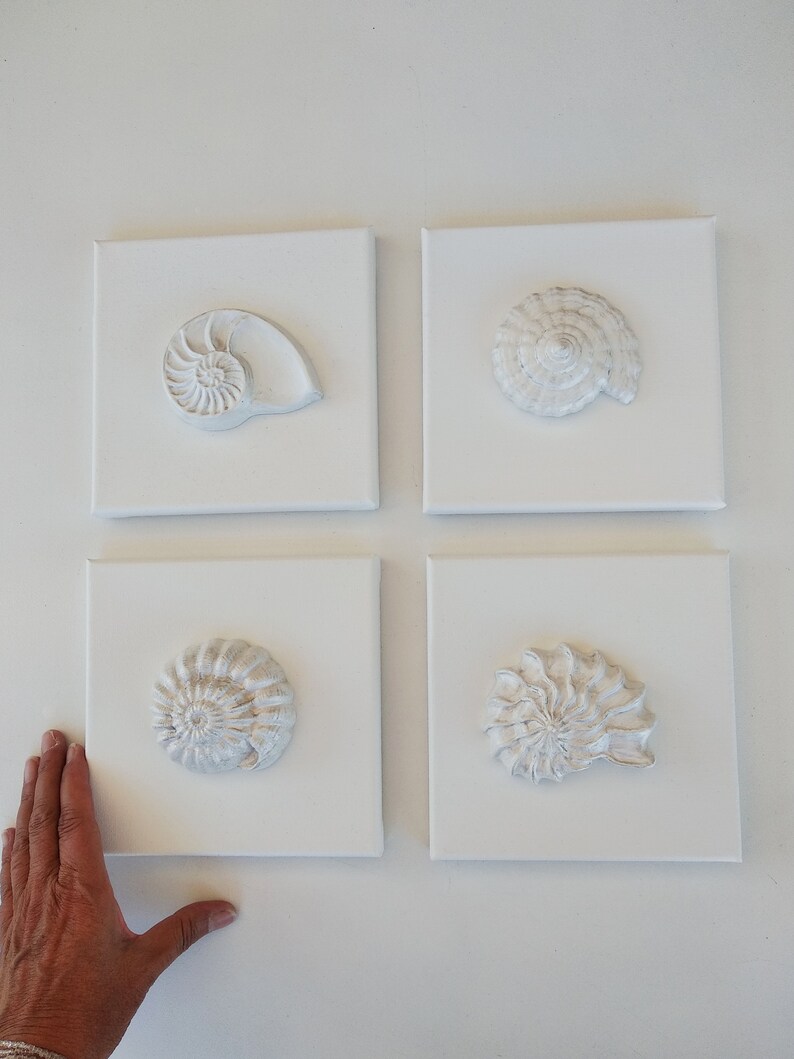 White Sea Shell Canvas Wall Art Set of 4 Coastal Seashells - Etsy